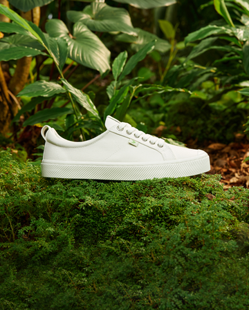 CARIUMA: Comfortable Sustainable Shoes & Best Skate Sneakers